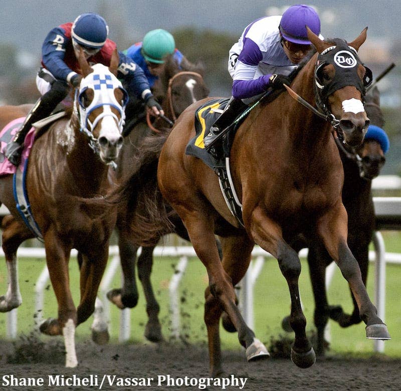 Frank Conversation To Stand At New York's Rockridge Stud In 2019 ...
