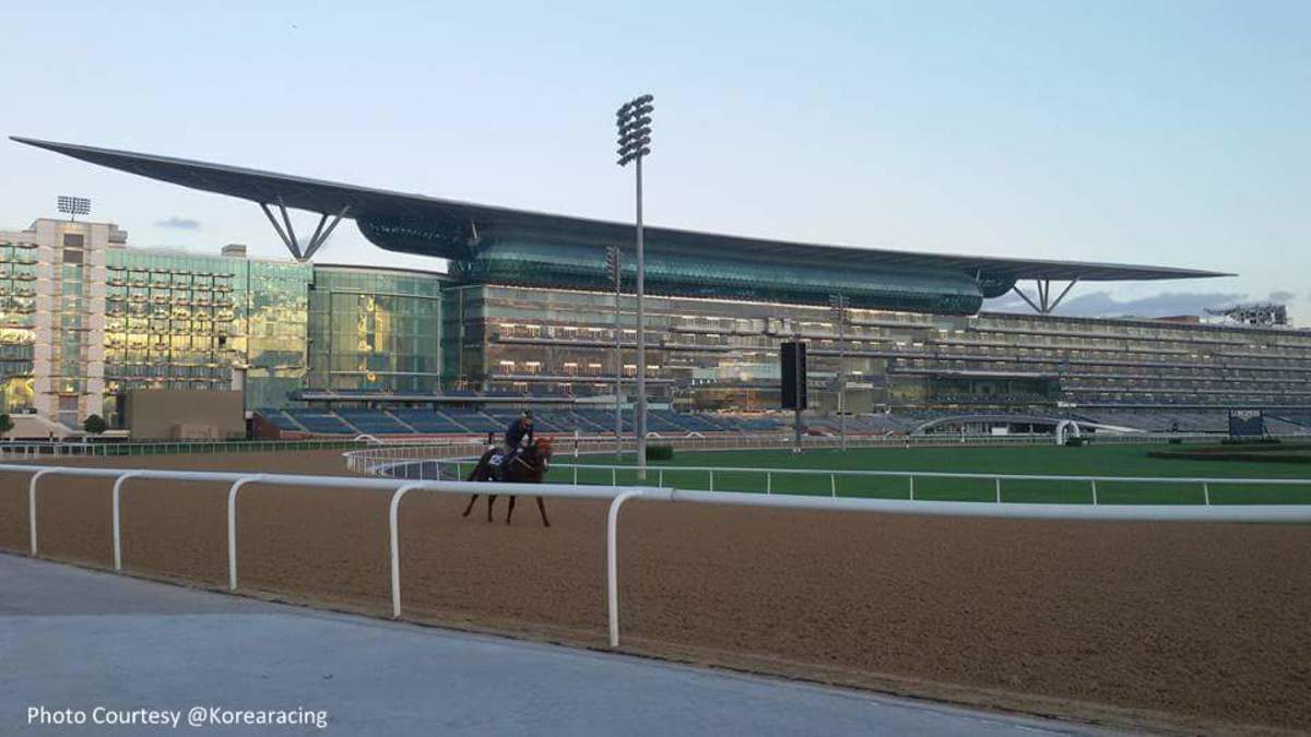 Dubai Racing Club Releases Accepted Horses For 2021 Dubai World Cup ...