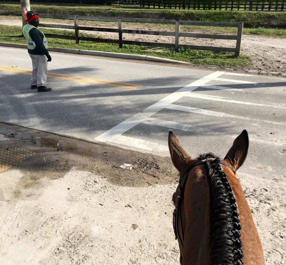 Cosequin Presents Aftercare Spotlight: 'A Great Mind' For The Show ...