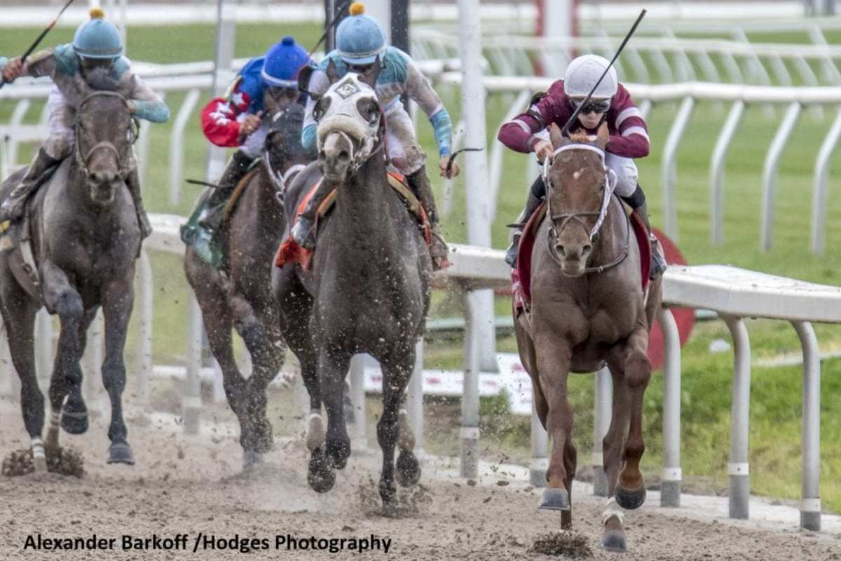 Kentucky Derby Next Stop For Gun Runner, Mo Tom - Paulick Report ...