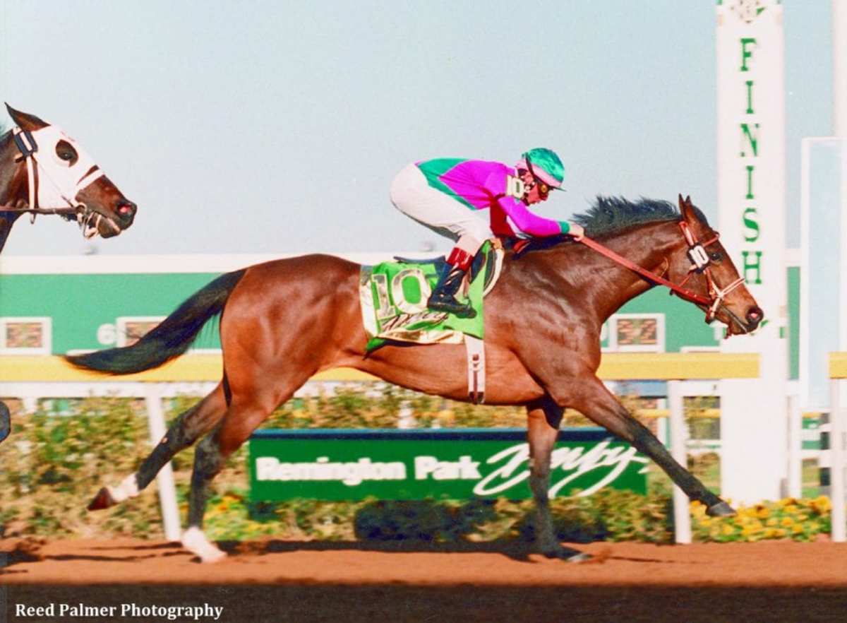 G1 Arlington Classic Winner Clever Trevor Dies Age 30 - Paulick Report ...