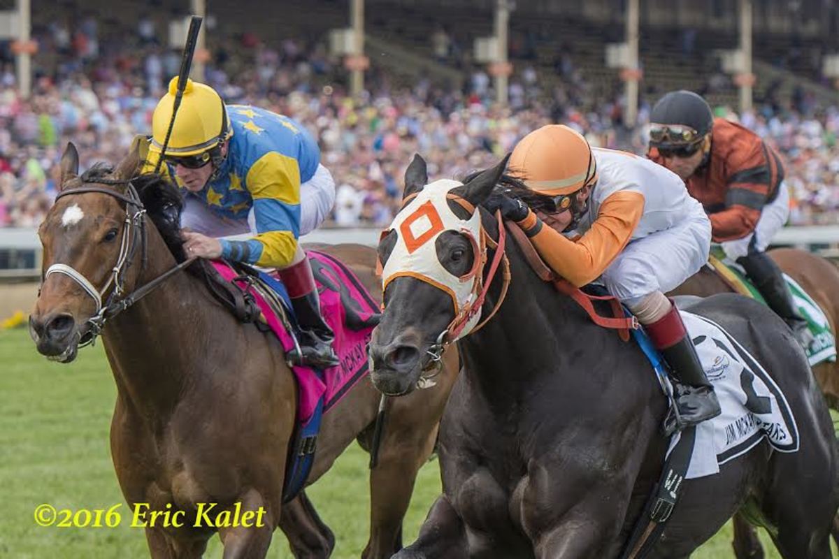 Ben's Cat, 10 Years Young, Captures Fifth Jim McKay Turf Sprint ...