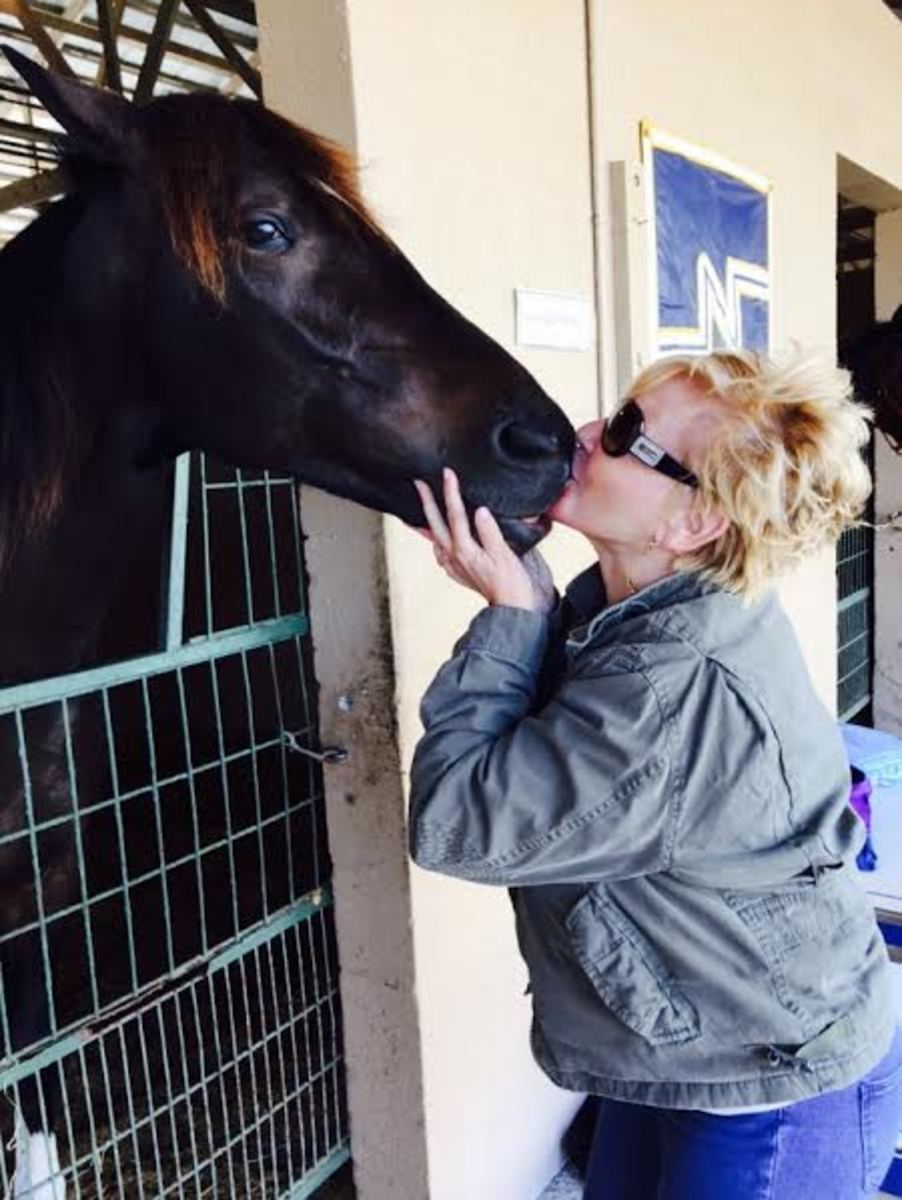 From Standardbreds And Thoroughbreds To Dating Advice - A Life Well ...