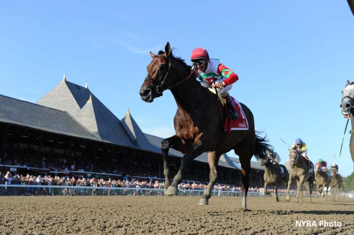 Connect Tops Brown Exacta In Curlin Stakes - Paulick Report | Latest ...