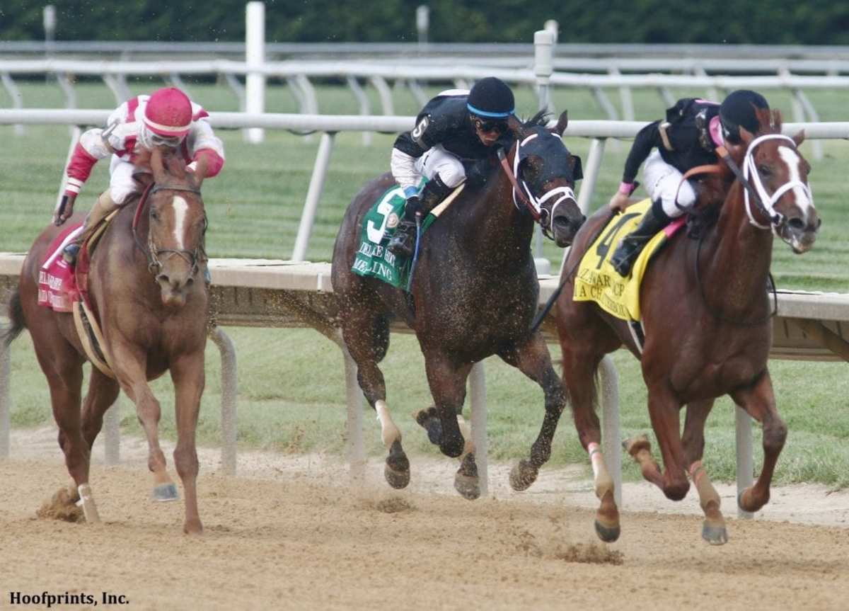 Delaware Park: Stewards Began Inquiry Into Del ‘Cap Prior To Objection ...