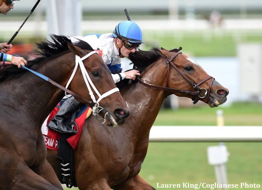 Heart To Heart Nears Million-Dollar Mark After El Prado Victory ...