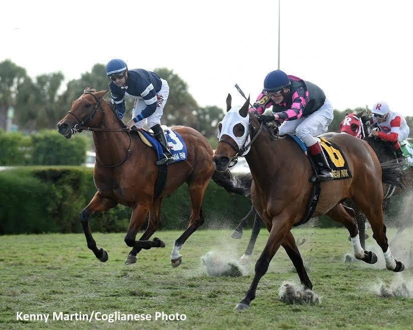 Lubash Moved Up For Tropical Turf Handicap Win - Paulick Report ...