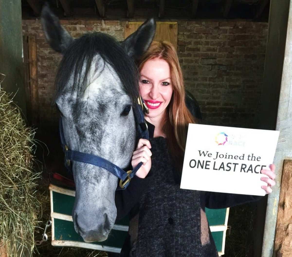 Cosequin Presents Aftercare Spotlight: One Last Race - Paulick Report ...