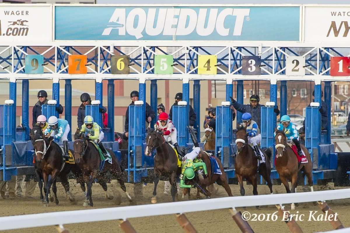 Kirkpatrick & Co. Present Photos Of The Week: Ringing In The New Year ...