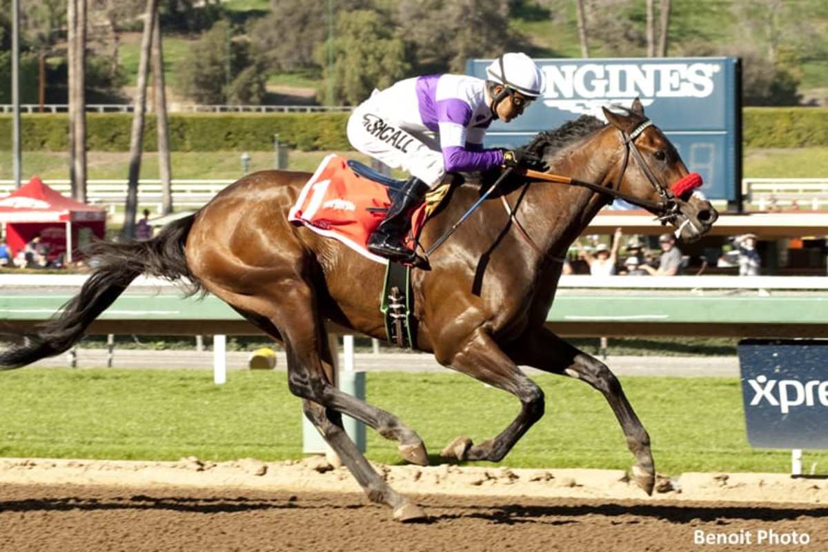 Nyquist Turns Back Exaggerator, Remains Undefeated In San Vicente ...