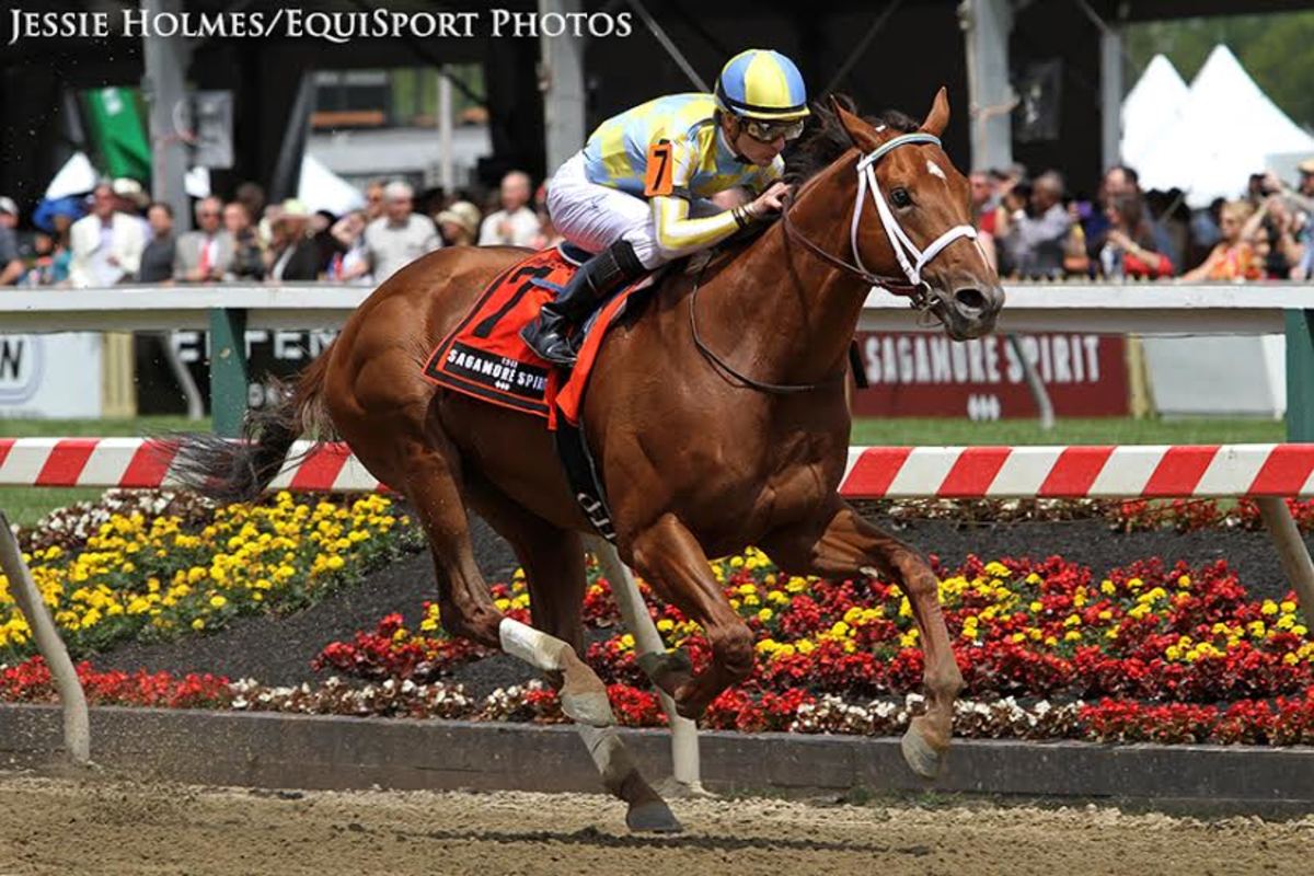 Noble Bird Dominates In Pimlico Special - Paulick Report | Latest news ...