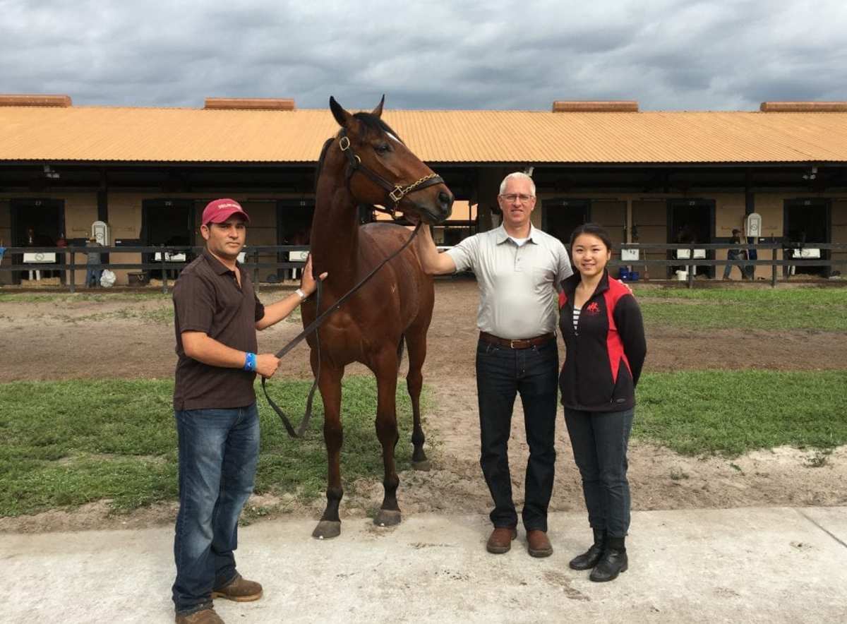 Mongolian Prince Has Owners Excited Over Colt’s North American Racing ...