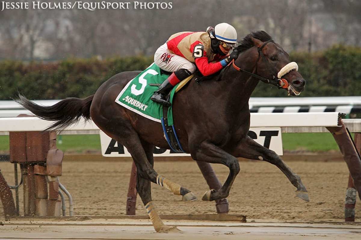 First Foal Is A Colt For Lane’s End Sire Unified - Paulick Report ...