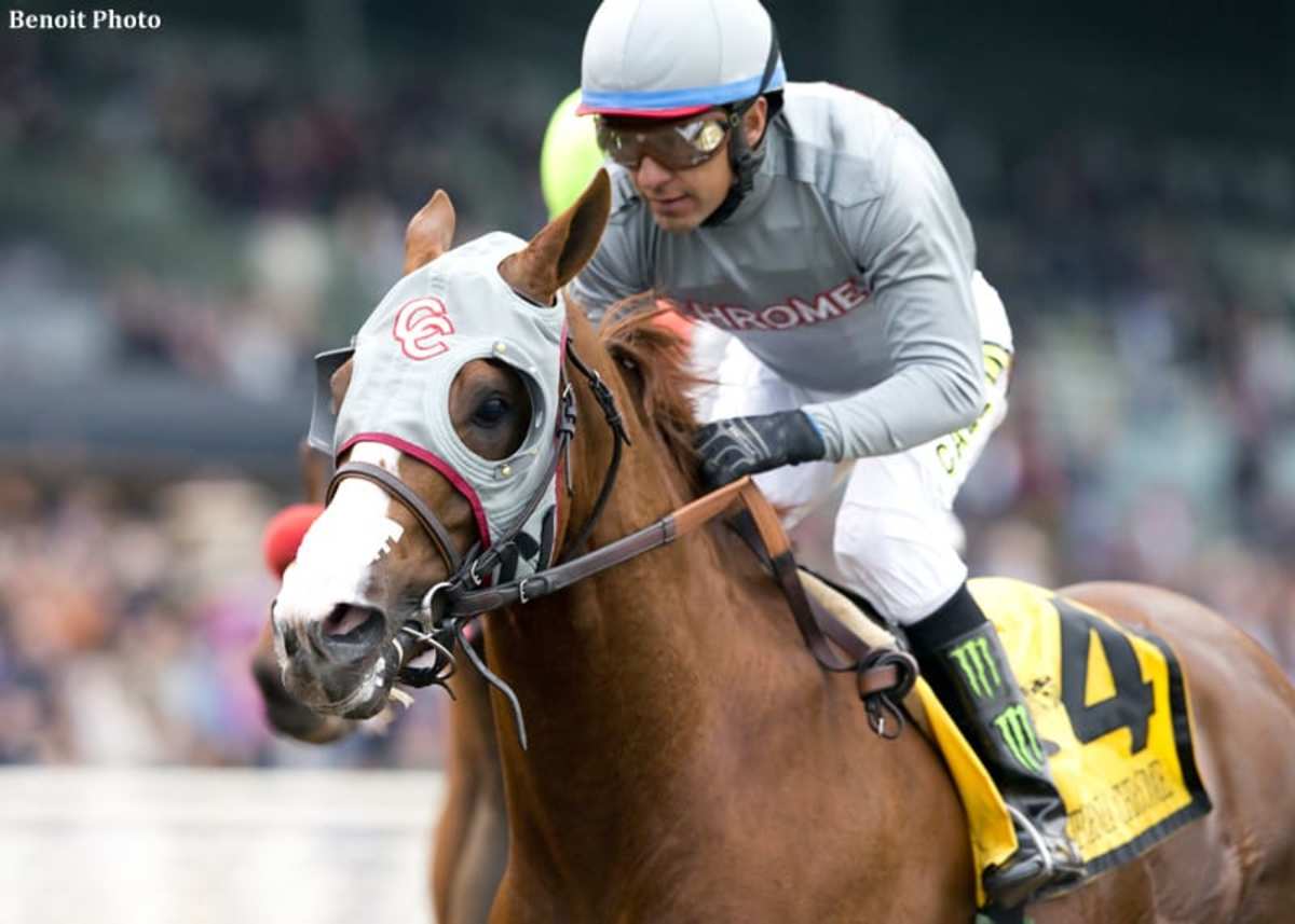 California Chrome To Prep In Dubai Prior To World Cup - Paulick Report ...