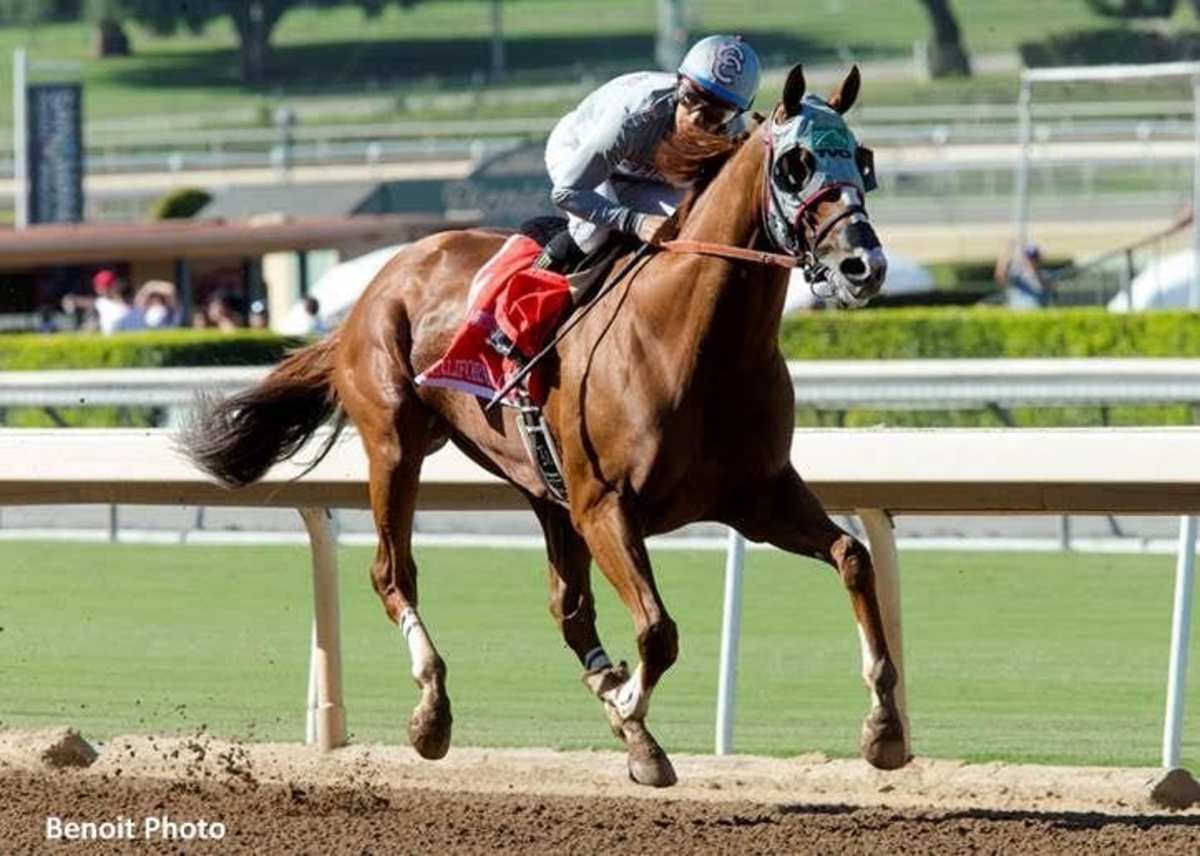 California Chrome 'Looks Like A Horse That Didn't Even Run' Sunday ...
