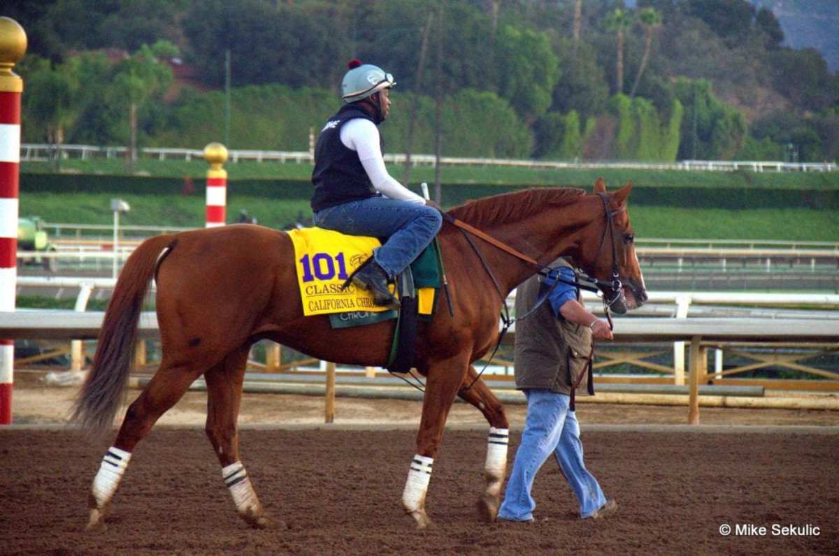 California Chrome Zips Five Furlongs At Los Alamitos - Paulick Report ...