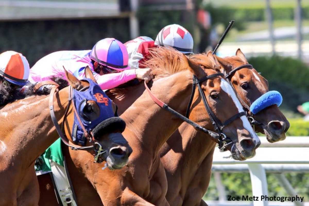 Cheekaboo On Top Of Blanket Finish In Honeymoon Stakes - Paulick Report ...