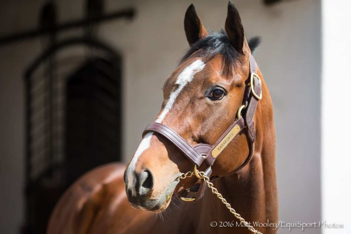 The 2025-26 All-Value Sire Team: Bloodstock Experts George Adams And ...