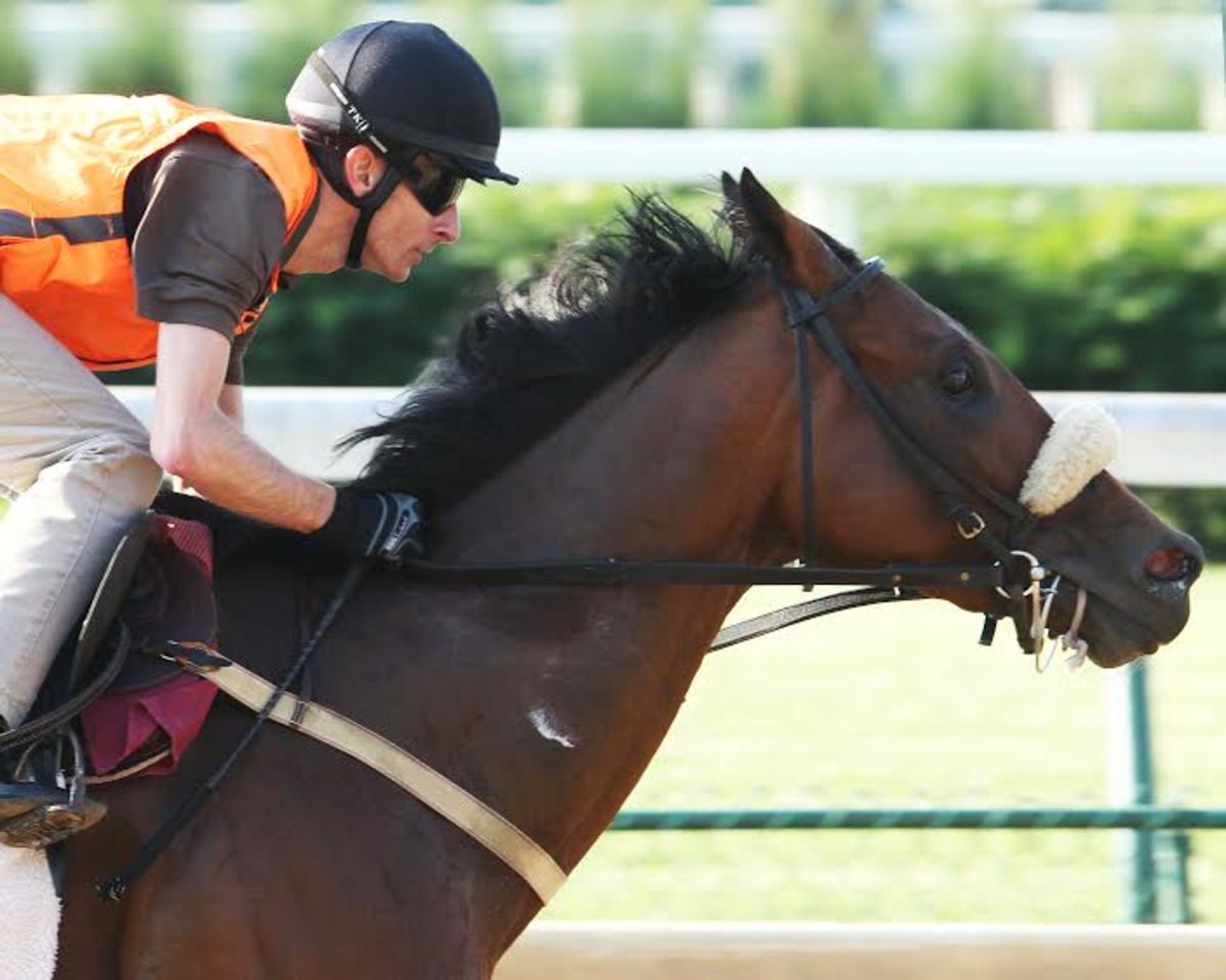 Suddenbreakingnews: Updated Ridgling Status, 'Smooth' Sunday Work At ...