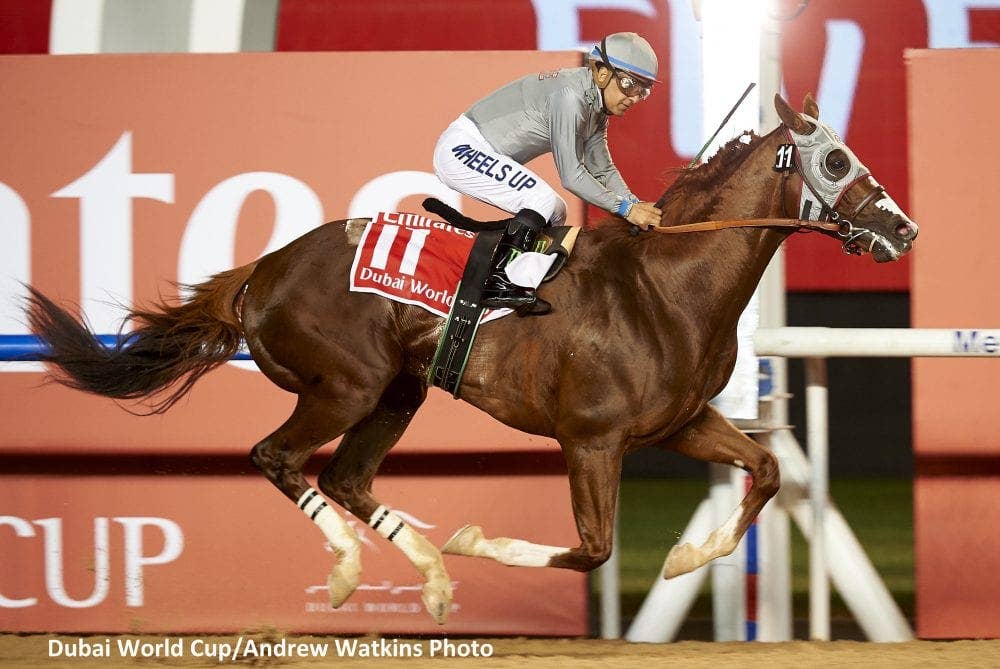 'Her Neck Was Getting Farther And Farther Away': Parx Apprentice Jockey ...
