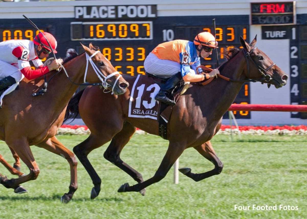 Geroux Pilots Sea Calisi To Beverly D Win For Fourth On The Day ...