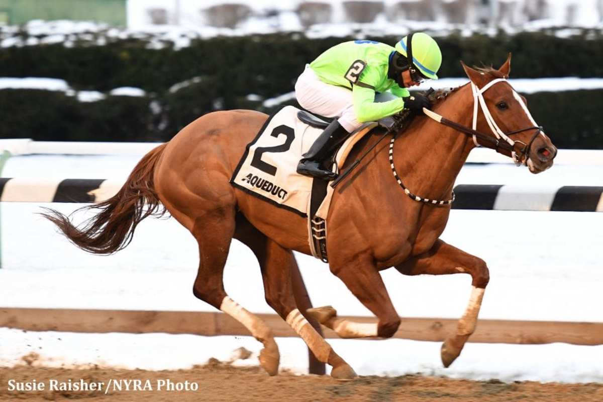 War Story Gets Ninth Trainer As Jorge Navarro To Replace Mario Serey Jr ...