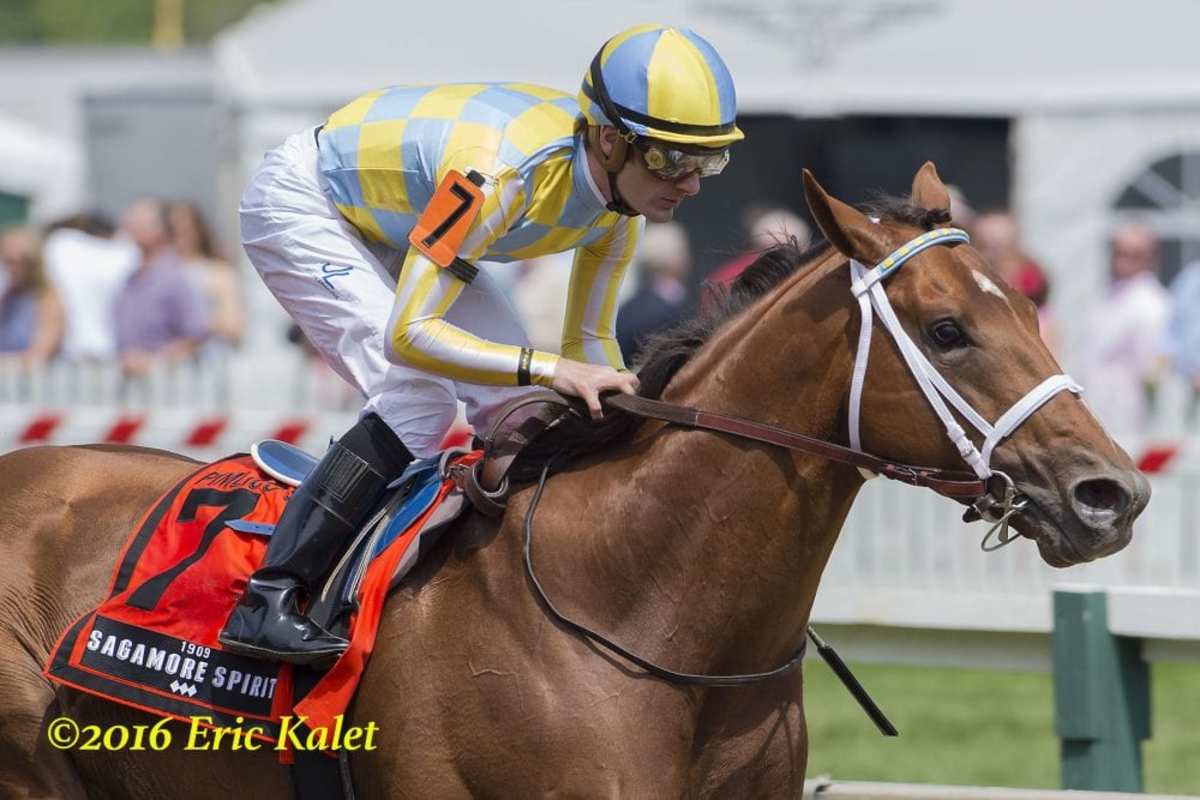 'Stallion-Making' Met Mile Field Loaded With Talent - Paulick Report ...