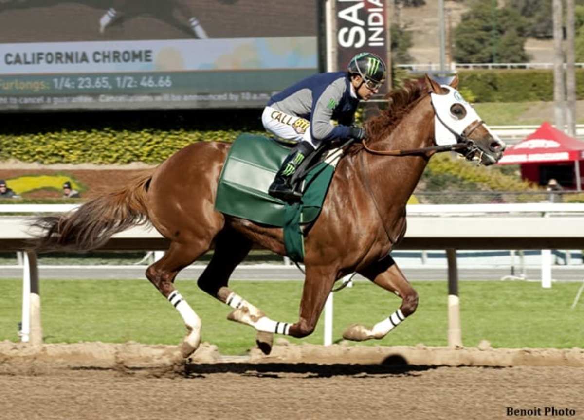 California Chrome Looks 'Stronger And Fitter' In Los Alamitos Breeze ...