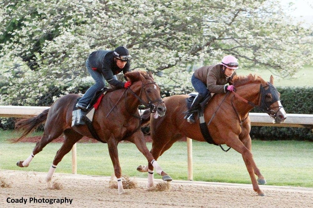 Whitmore Impresses Moquett With Gallop-Out After Half-Mile Breeze ...