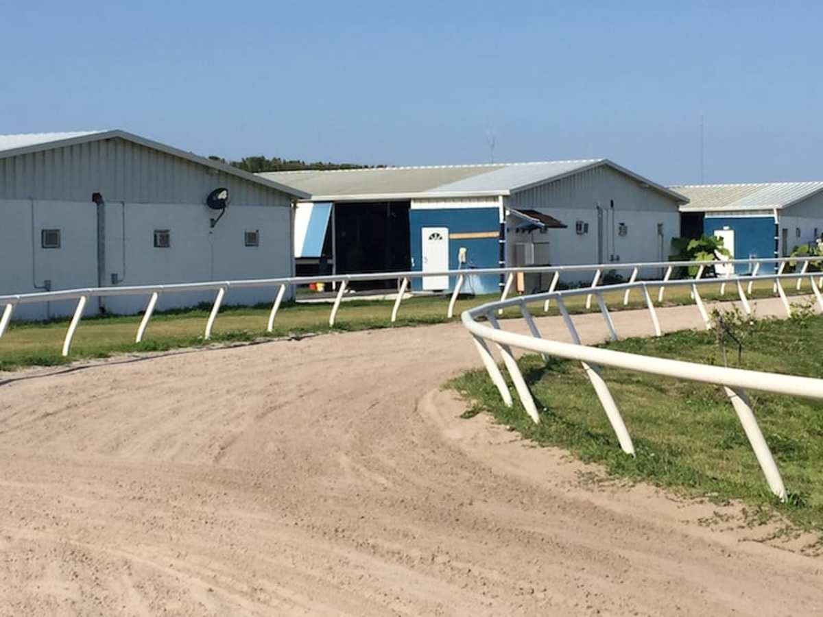 Borell, Drawing Away Stable Part Ways - Paulick Report | Latest news ...