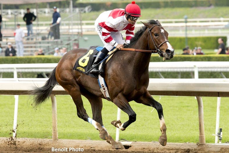 Songbird Towers Over Six Rivals In G1 Santa Anita Oaks - Paulick Report ...