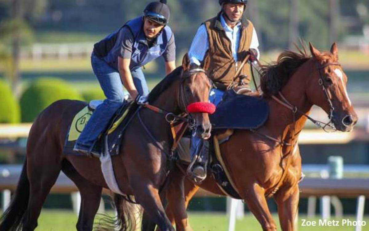 O'Neill 'Very Happy' With Nyquist's First Work Since Preakness ...