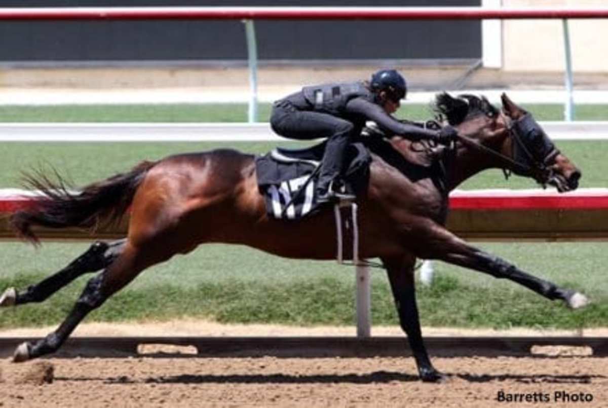 Candy Ride Colt Tops Barretts Sale; Overall Figures Decline - Paulick ...