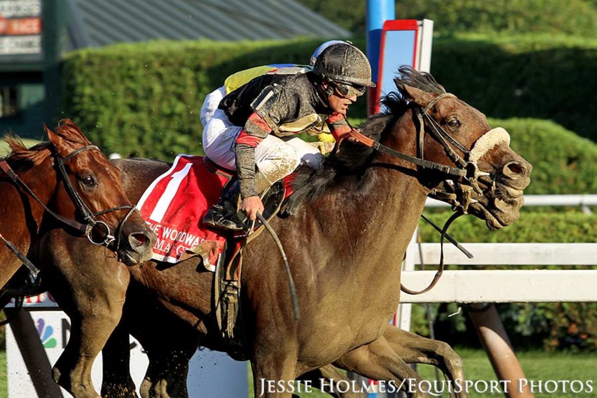 'He's Relentless': Shaman Ghost Possible For Jockey Club Gold Cup ...