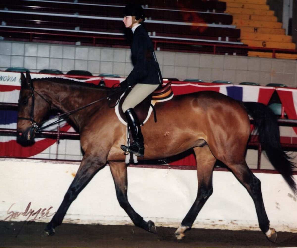 Cosequin Presents Aftercare Spotlight: 'He Was My Heart And Soul ...