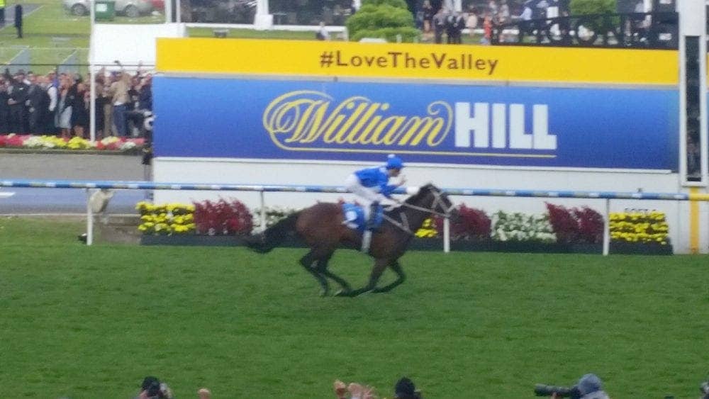 World-Class Winx Demolishes Field For Second Straight Cox Plate Victory ...