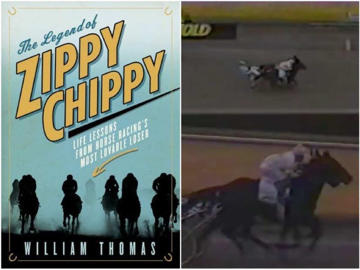 Racing's Lovable Loser, Zippy Chippy, Subject Of New Book - Paulick ...