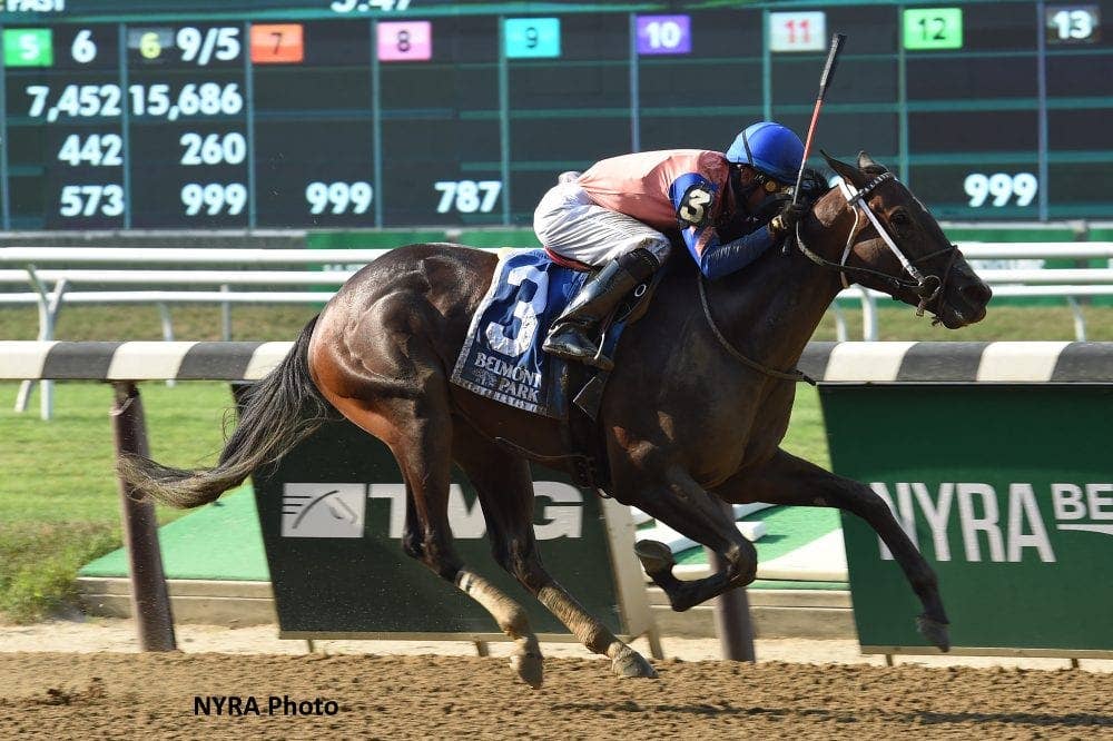 First-Timer Miss Freeze Convincing In Lynbrook Victory - Paulick Report ...
