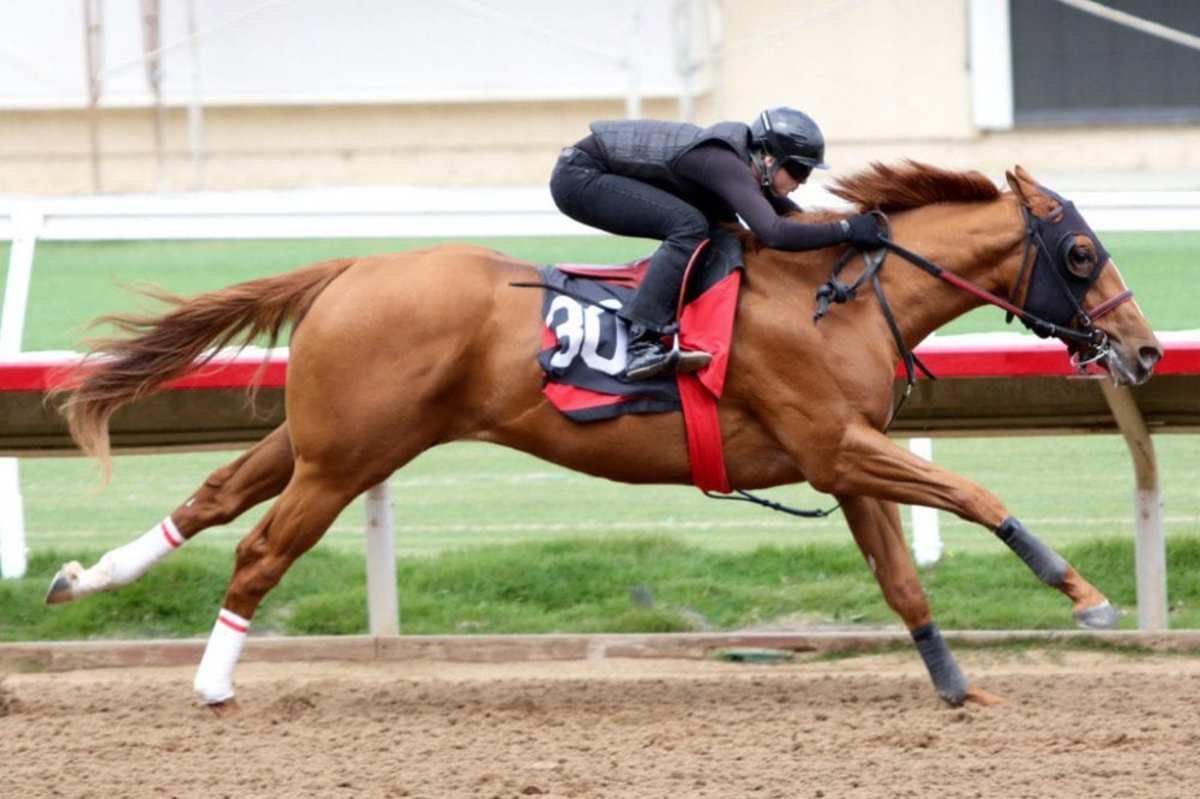 Six Juveniles Breeze Furlong In 9 4/5 Seconds In Barretts Preview ...