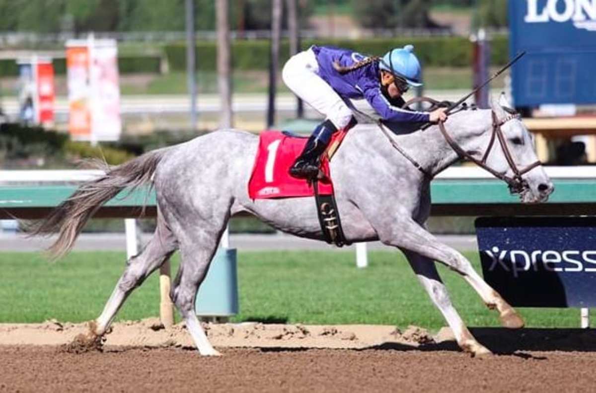 Higgins, Wife Of Hall Of Famer Desormeaux, Rides First Winner - Paulick ...