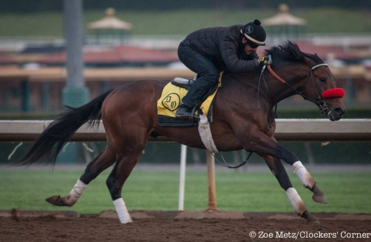 Nyquist 'Super' In Penultimate Breeze Before Sophomore Debut - Paulick ...