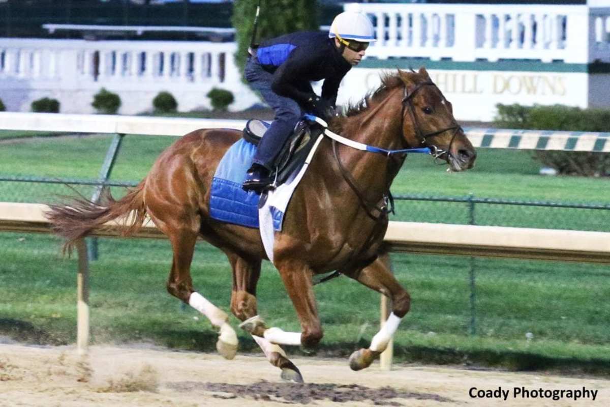 Gun Runner Back On Work Tab At Churchill Downs - Paulick Report ...