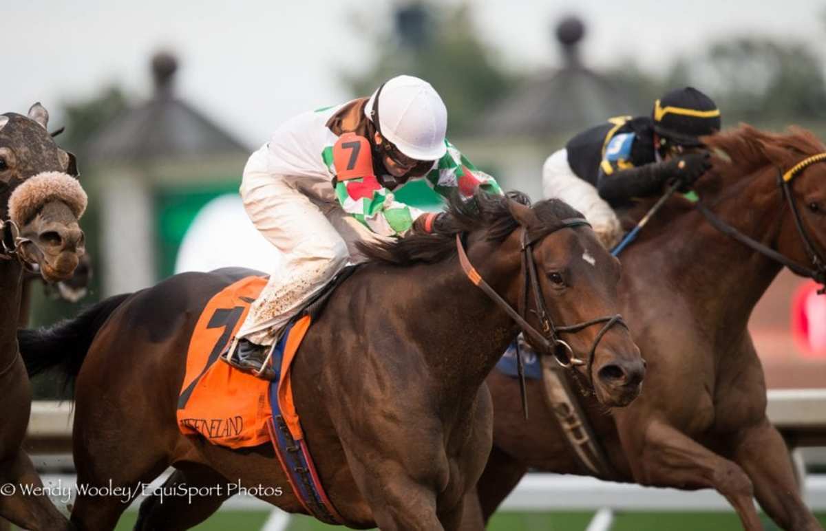 Breeders' Cup Presents Connections: Sophie Doyle All About Hard Work ...