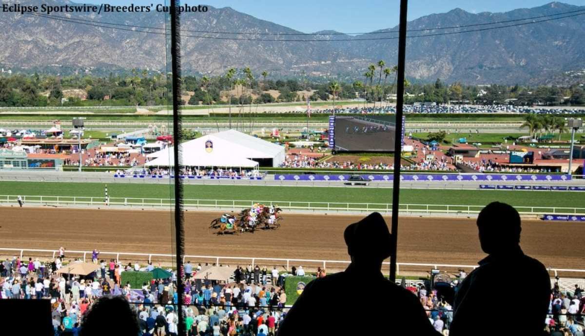 Report: Santa Anita Official Confident Lack Of Entries Will Not ...
