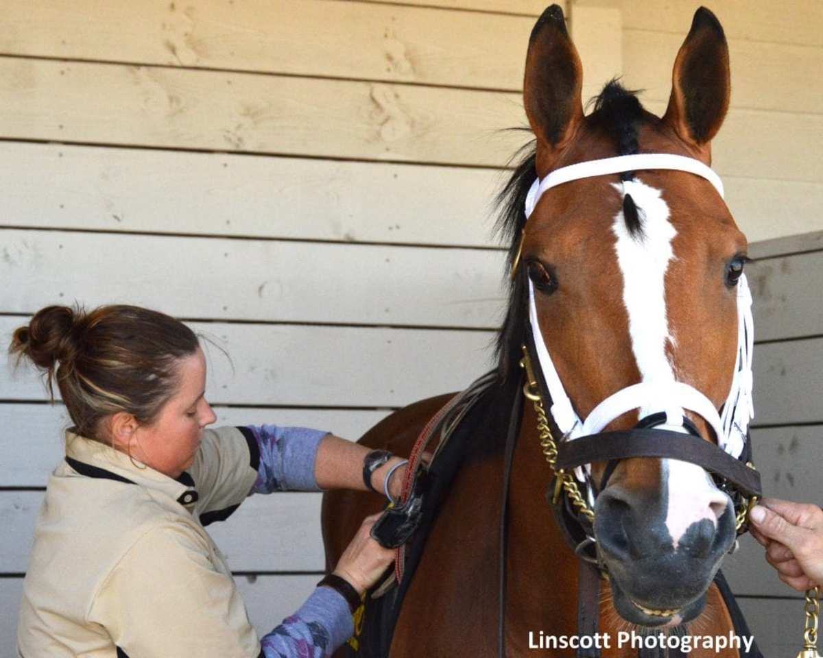'At First I Thought He Was Kidding': Waugh First Female Valet At ...