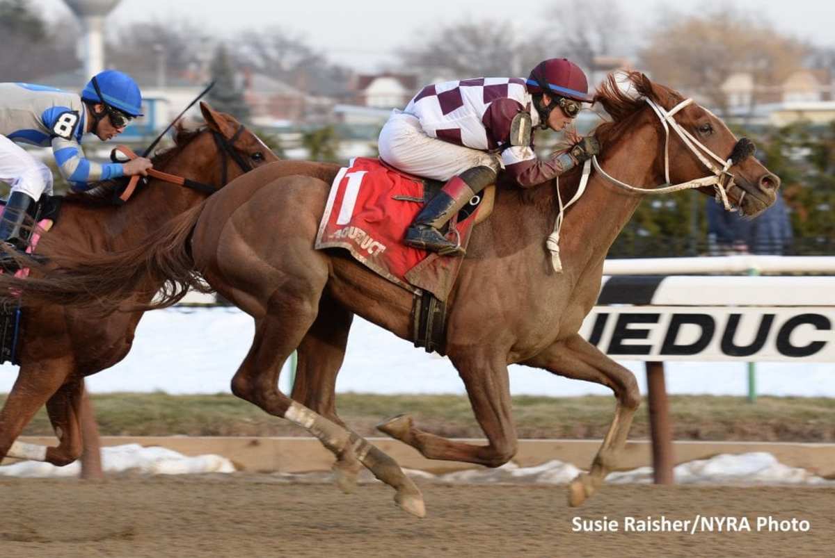 Flora Dora On Oaks Trail After Busanda Victory - Paulick Report ...