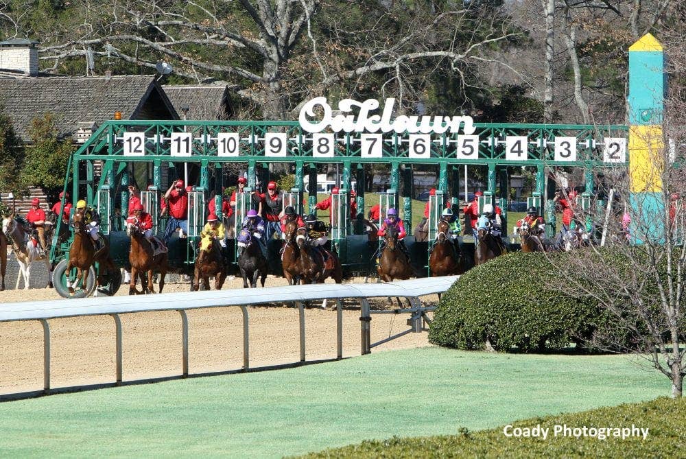 Cross Country Pick 5 Features Races From Aqueduct, Tampa Bay Downs ...