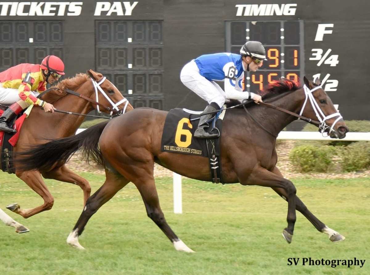 Champion Tepin Sets New Course Record Winning Hillsborough - Paulick ...