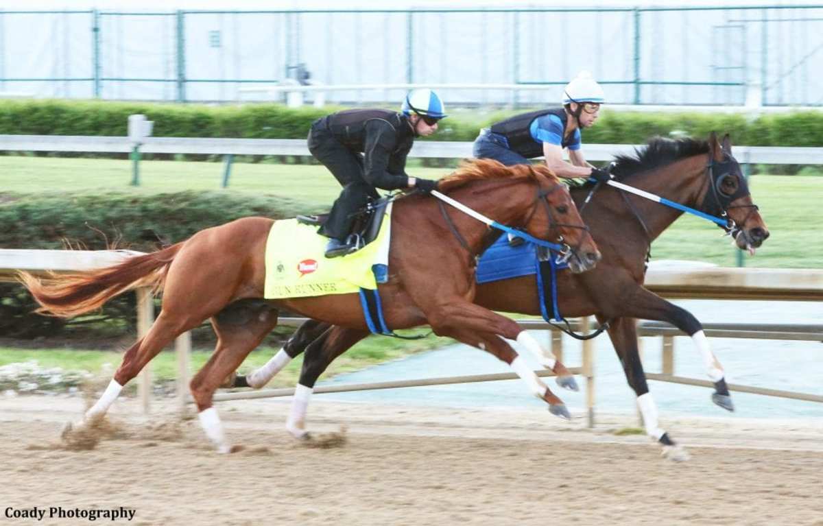 Gun Runner's Five-Furlong Breeze Pleases Asmussen - Paulick Report ...