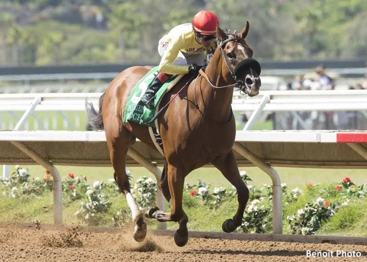 Masochistic Earns Breeders' Cup Berth In Pat O'Brien Stakes - Paulick ...